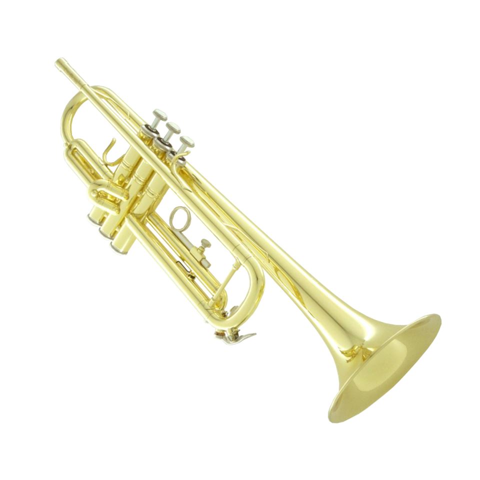 Carol Brass Ultimate Beginner's Trumpet CTR2000HYSSBBL Smart Choice ...