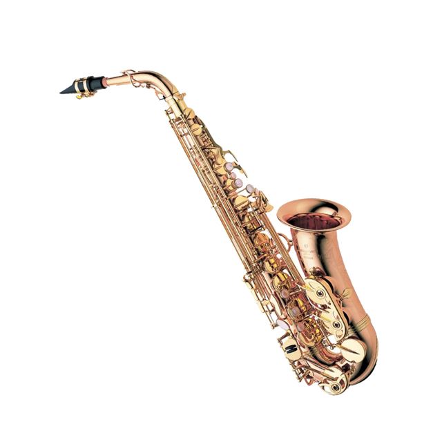 Yanagisawa AWO20PG Pink Gold Plated Alto Saxophone - Alto, Tenor ...